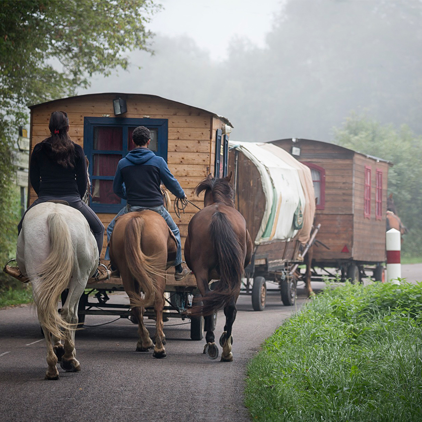 11 coisas que (provavelmente) você não sabe sobre o povo cigano ...