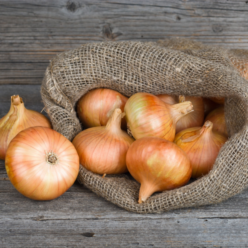 Ritual da cebola para conseguir um emprego - WeMystic Brasil