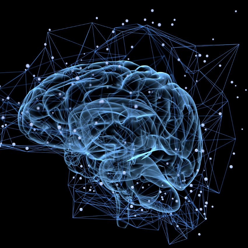 Que tipo de inteligência você possui? Descubra! - WeMystic Brasil