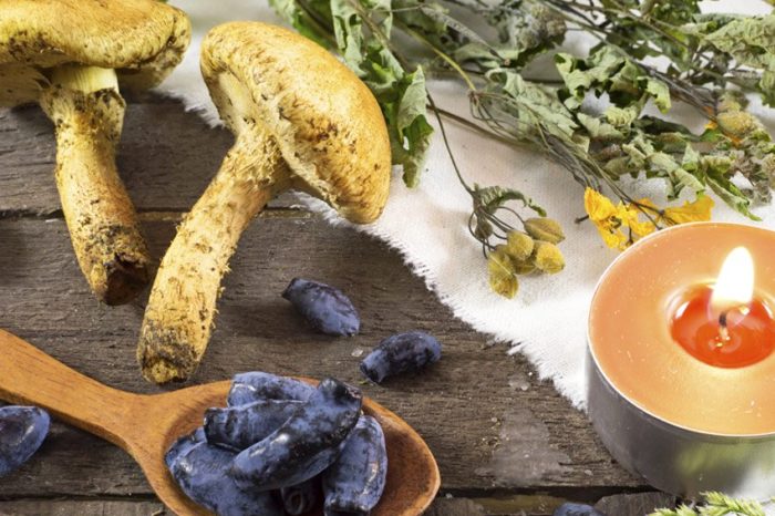 Simpatia cigana para atrair o amor - WeMystic Brasil